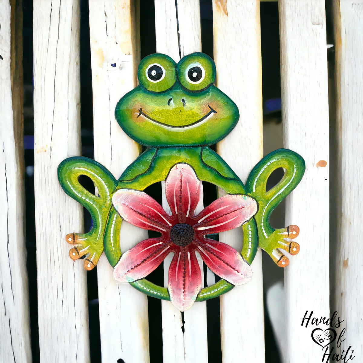 Frog – Hands of Haiti